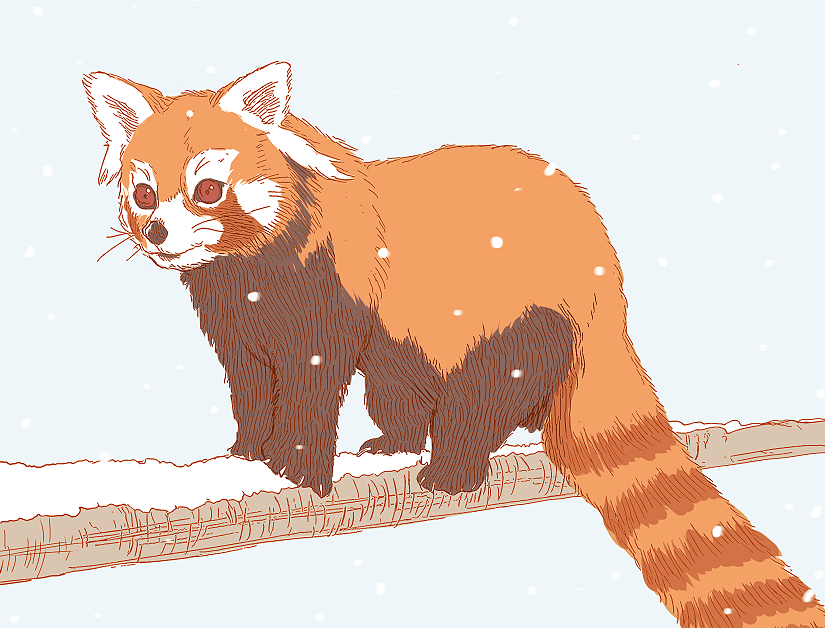 017: illust by Sodahikari